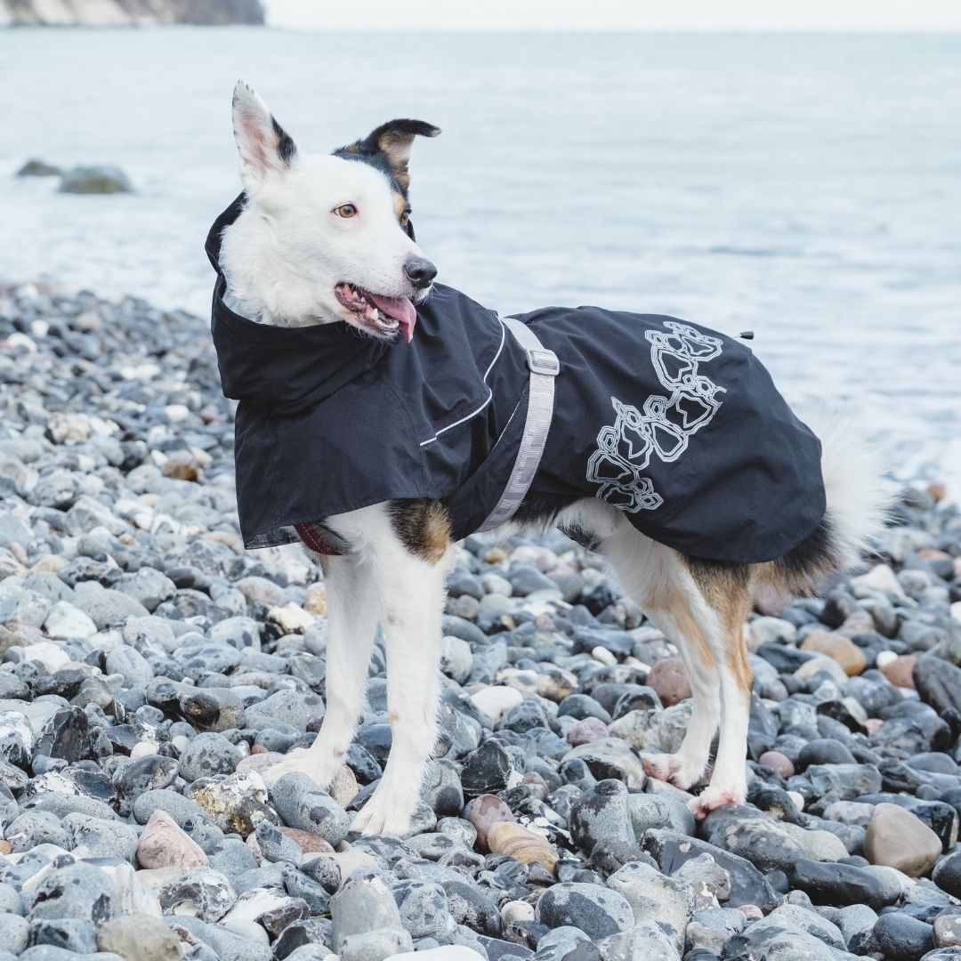 Rainwear – Hurtta South Africa